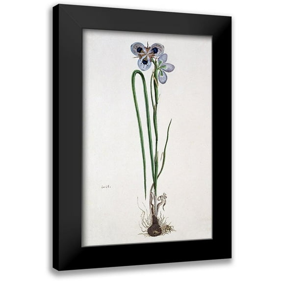 Gordon, Robert J. 10x14 Black Modern Framed Museum Art Print Titled ...