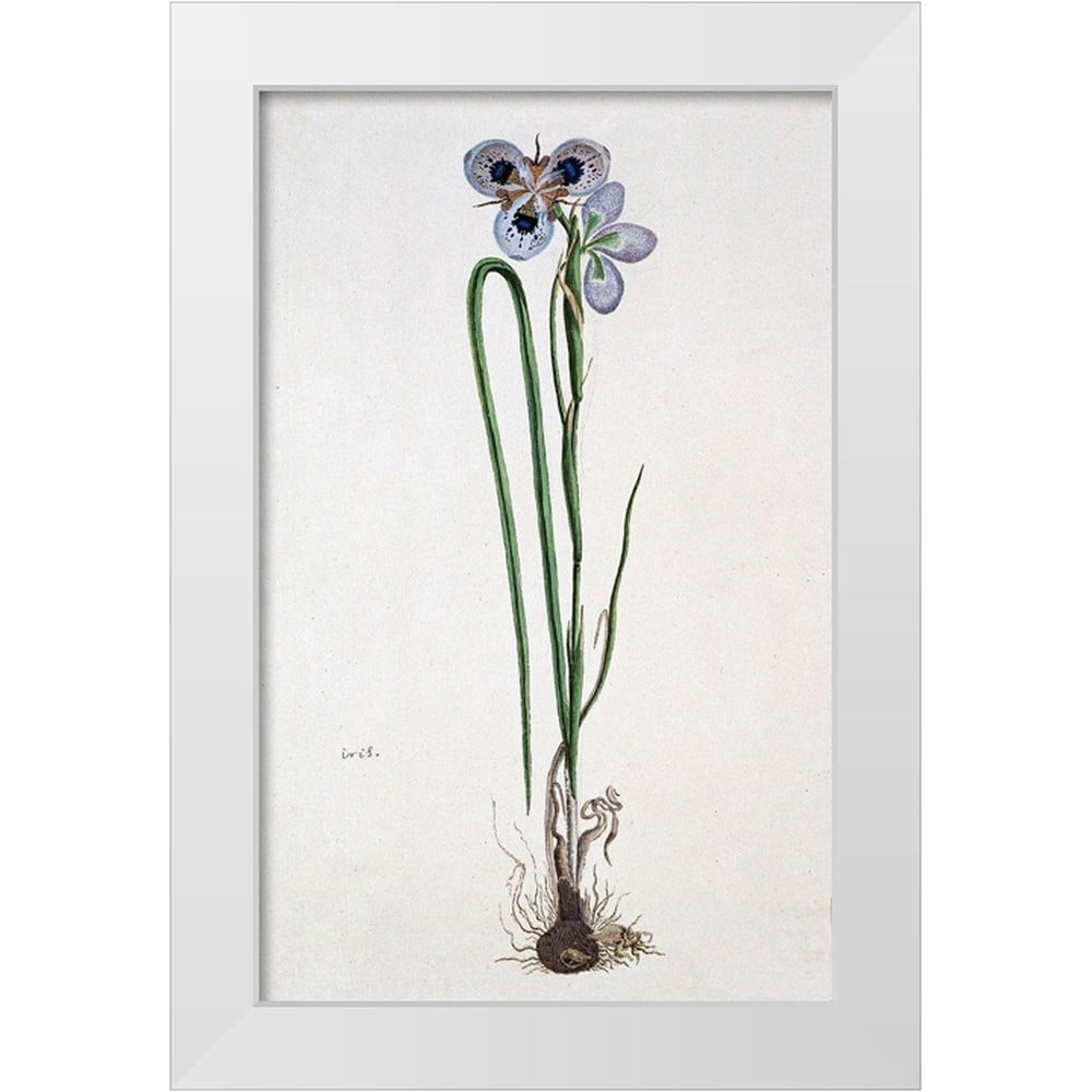 Gordon, Robert J. 10x14 White Modern Wood Framed Museum Art Print ...