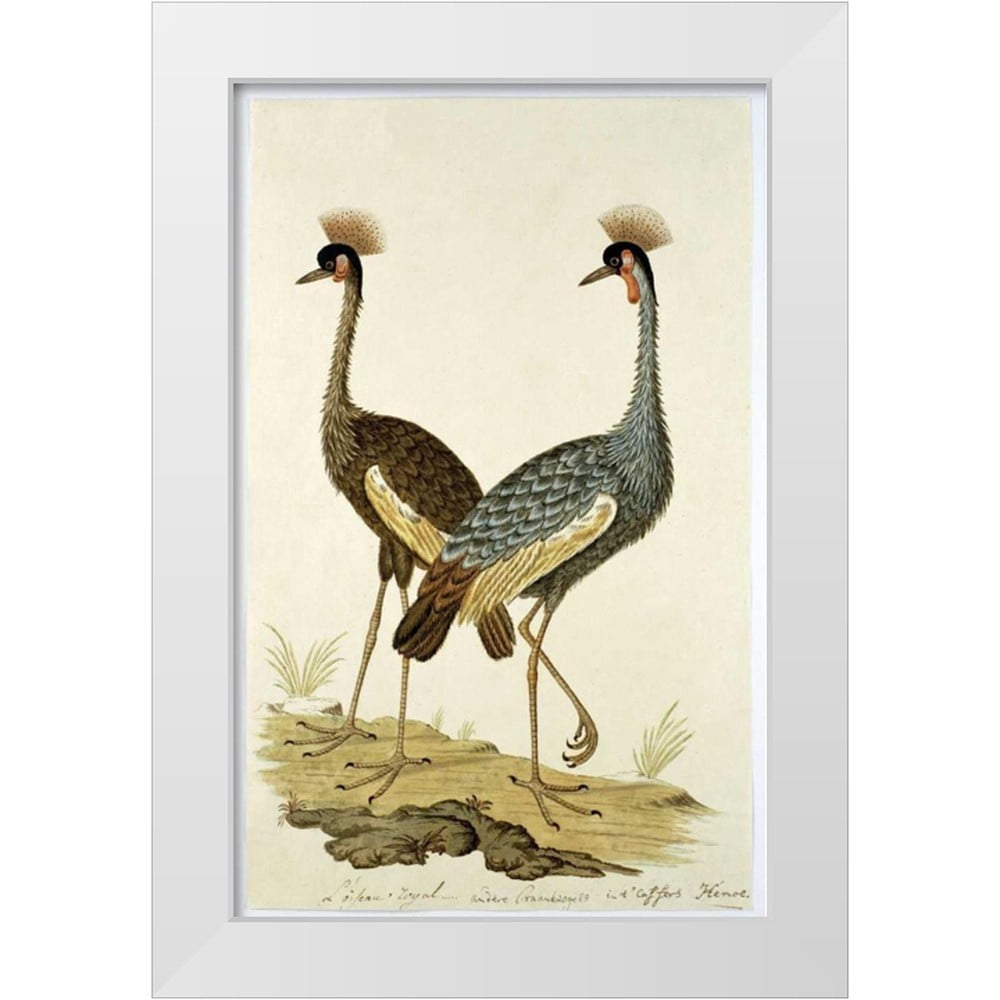 Gordon, Robert J. 17x24 White Modern Wood Framed Museum Art Print ...
