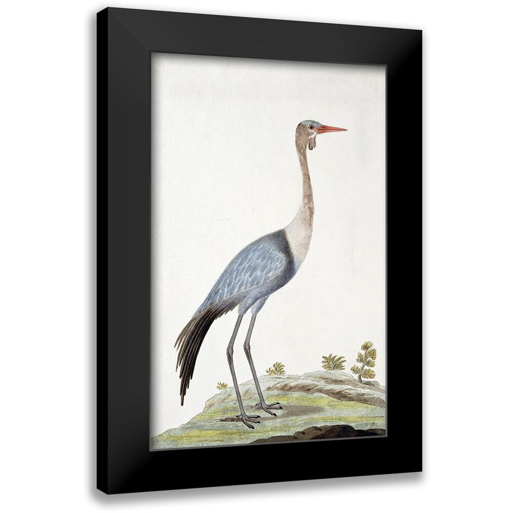 Gordon, Robert James 10x14 Black Modern Framed Museum Art Print Titled ...