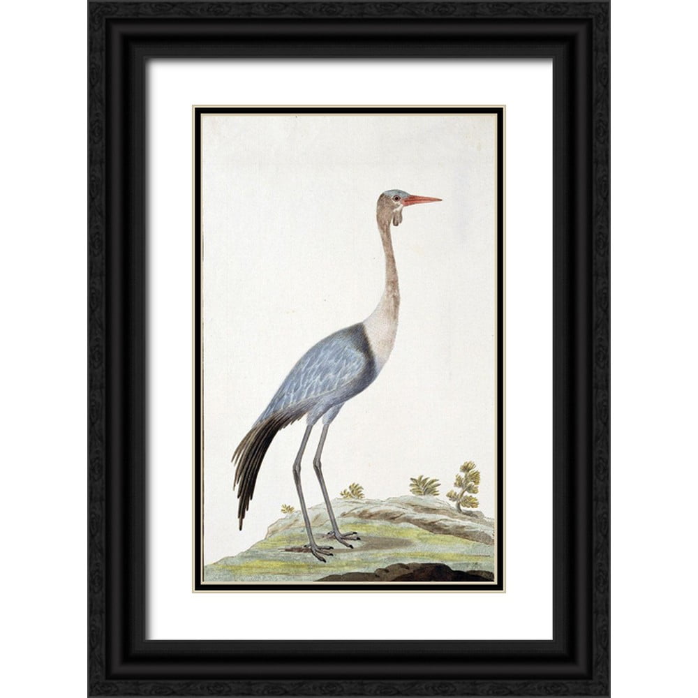 Gordon, Robert James 17x24 Black Ornate Wood Framed with Double Matting ...