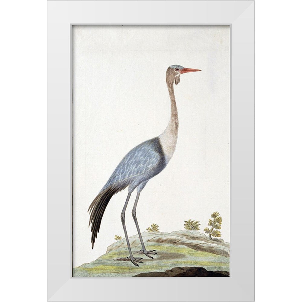 Gordon, Robert James 22x32 White Modern Wood Framed Museum Art Print ...