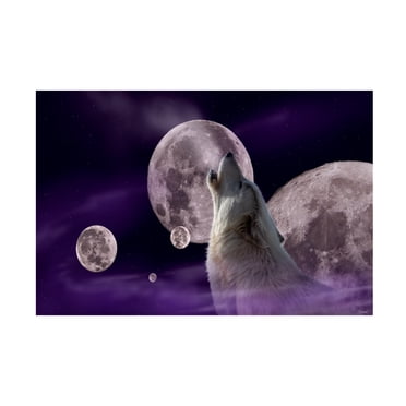 Robert Adamec 'Fox' Canvas Art - Walmart.com