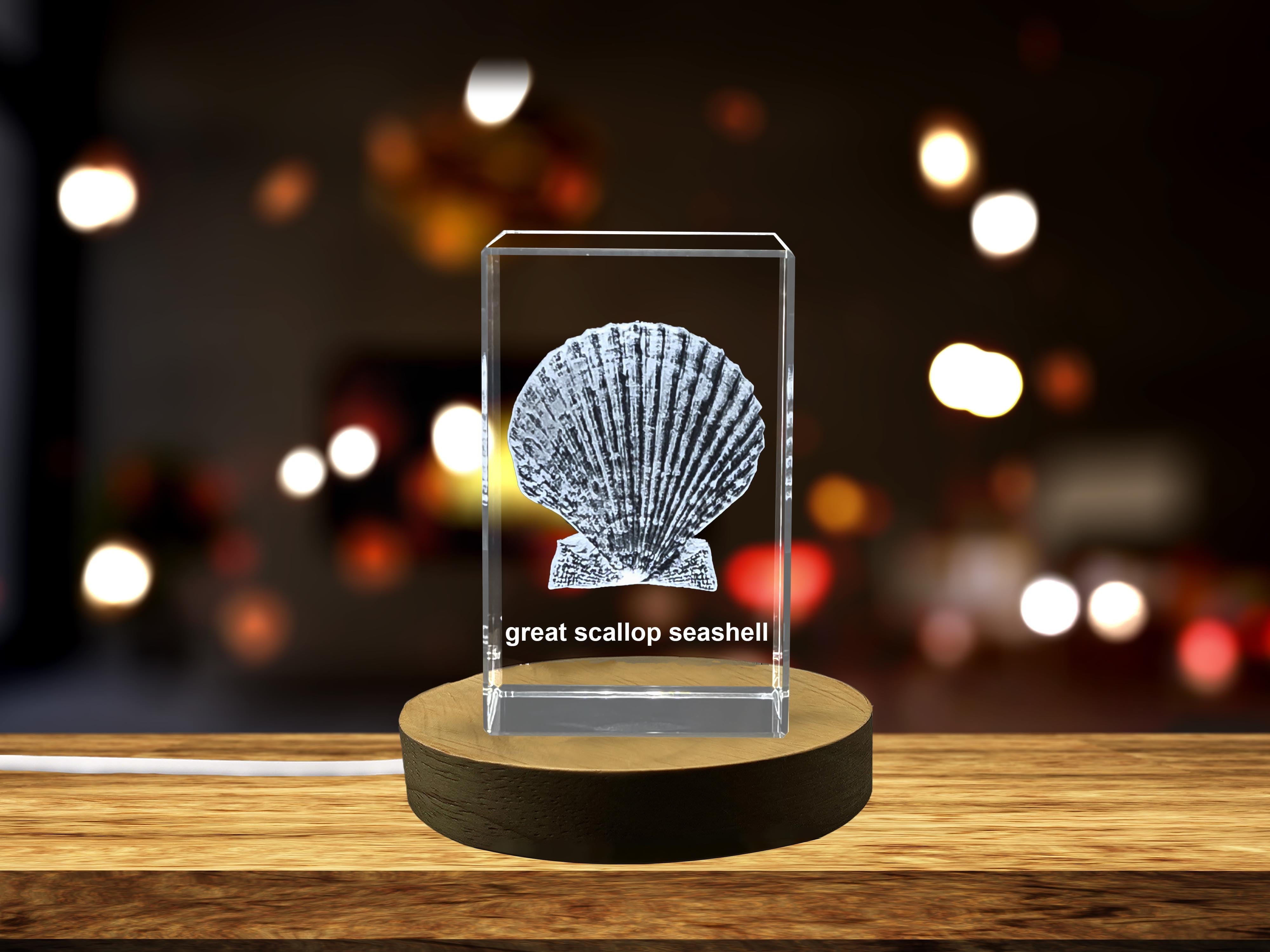 Gorgeous Crystal Scallop Seashell Gift with Lifelike 3D Sculpted Design ...