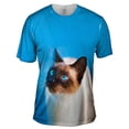 Gorgeous Eyes Siamese Cat Mens T-Shirt All Over Print - Walmart.com