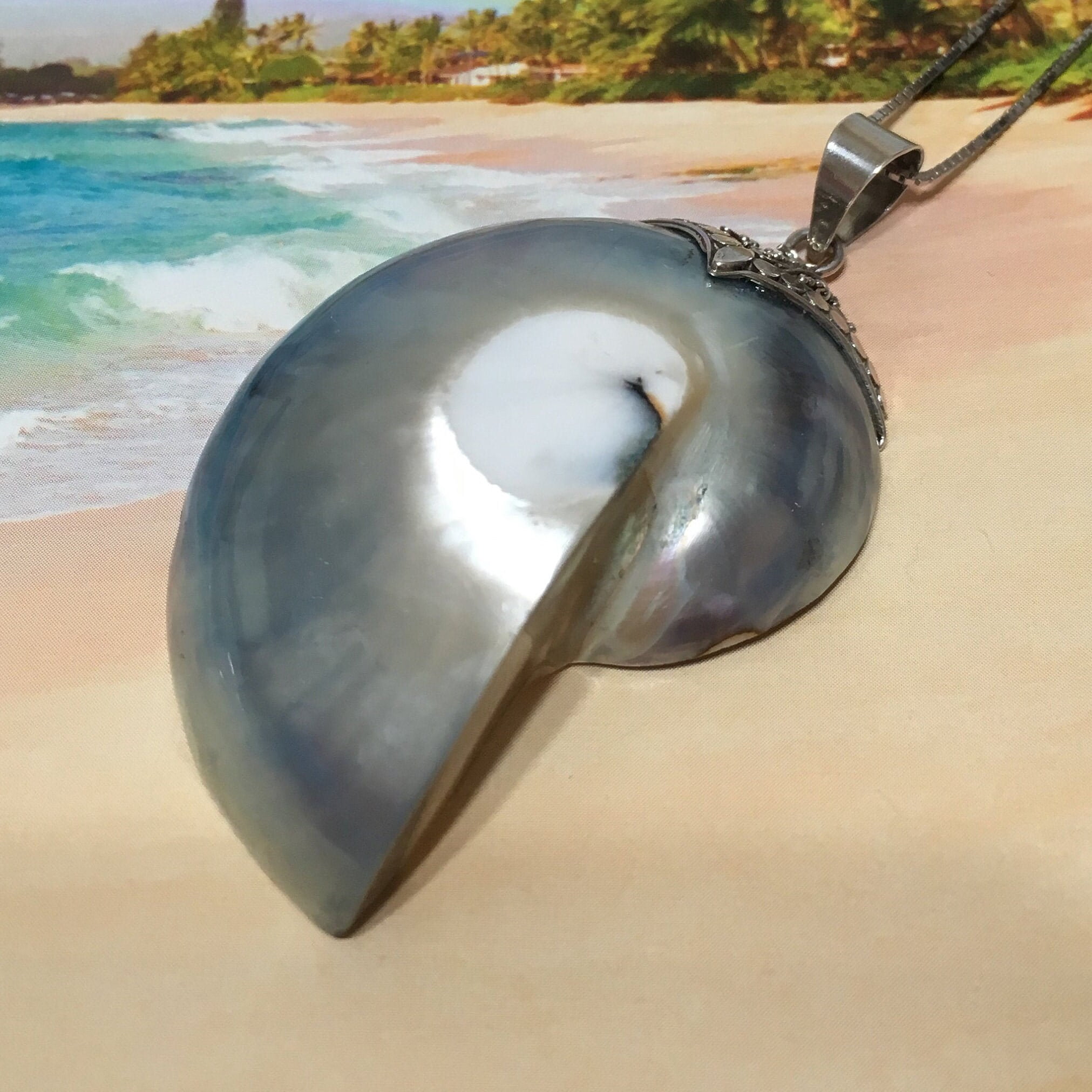 Nautilus Shell Necklace