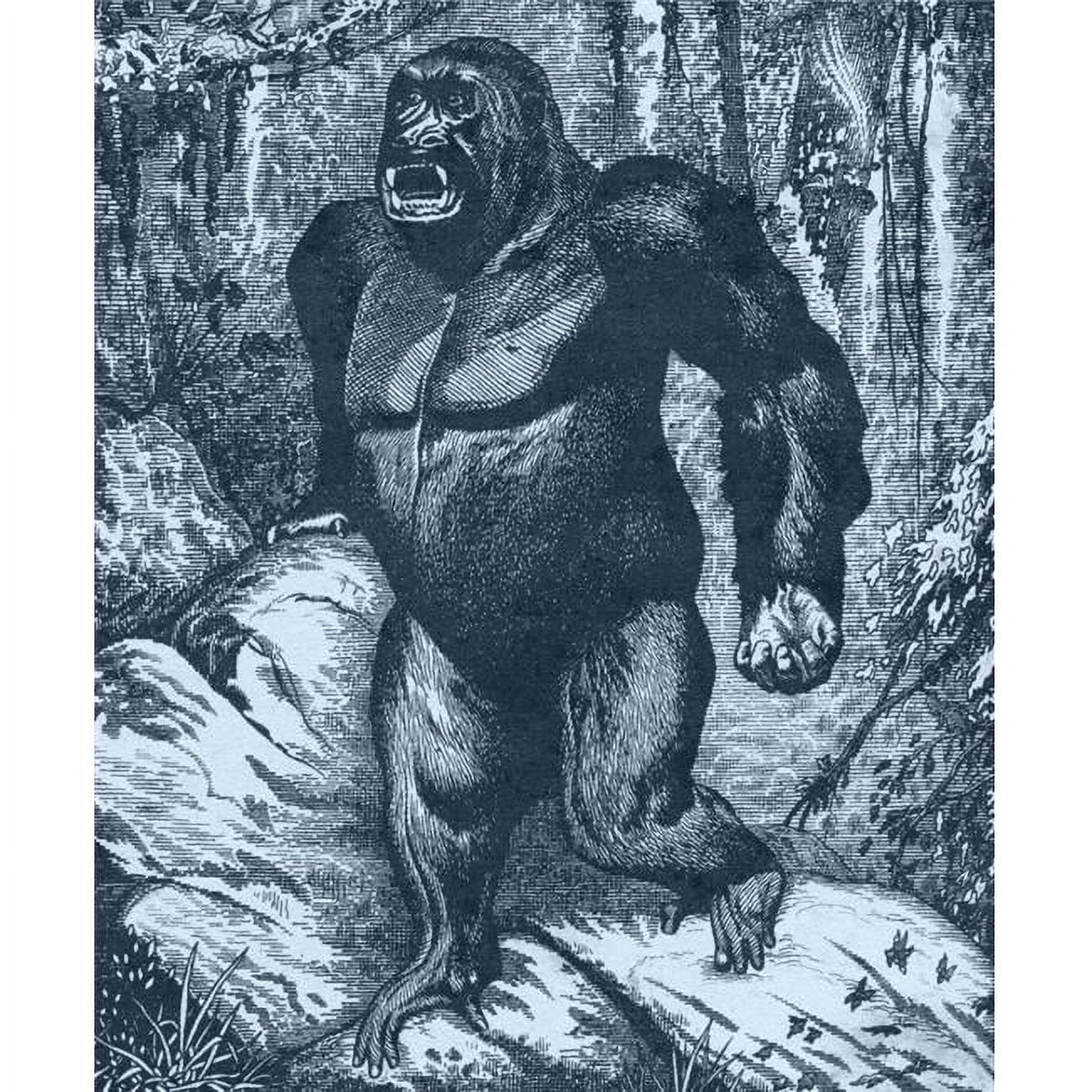 Gorilla. From Los Animales Del Universo Su Vida Y Sus Costumbres Published Cerca 1921 Poster ...