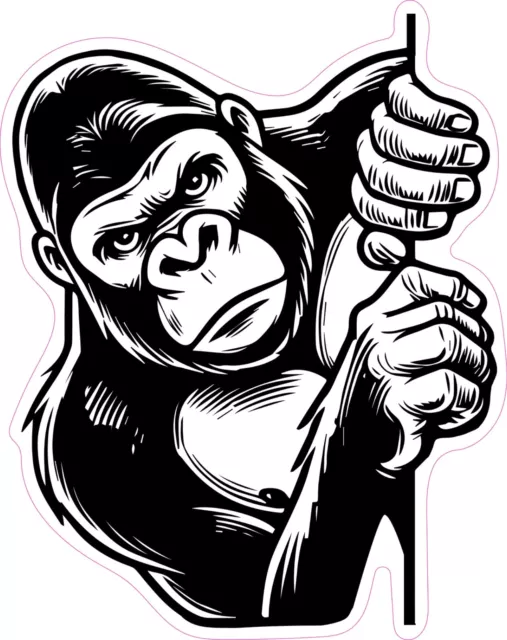 Gorilla Peeking Around Corner Sticker Window Decal Multiples Phone ...