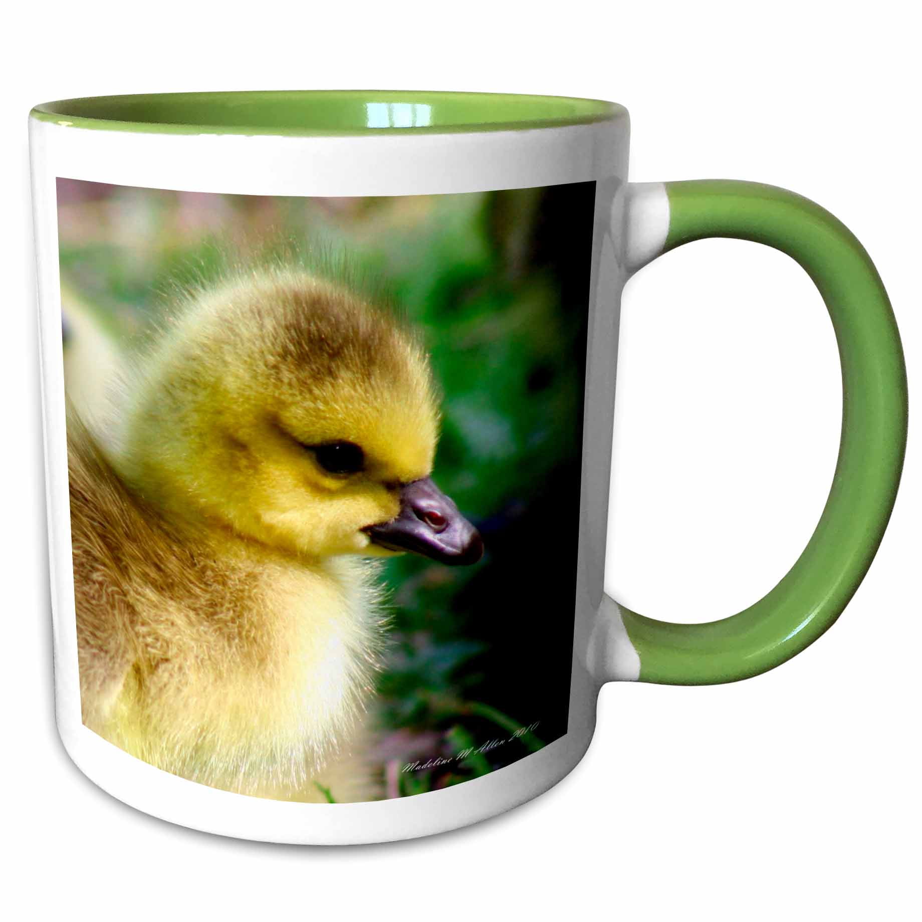 Gosling Chick 1 - Yellow - Bird Photography 11oz Two-Tone Green Mug mug ...