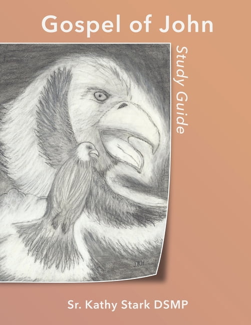 Gospel of John: Study Guide - Walmart.com