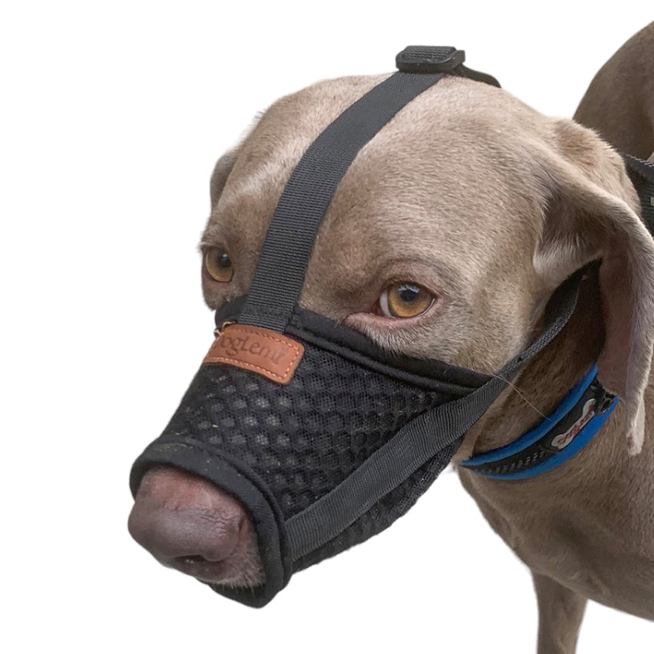Gostoto Dog Muzzle for Outdoor Training and Obedience Anti-Biting Anti ...