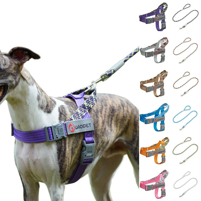 Gostoto Dog Vest Harness and Leash Set Adjustable Reflective Soft ...