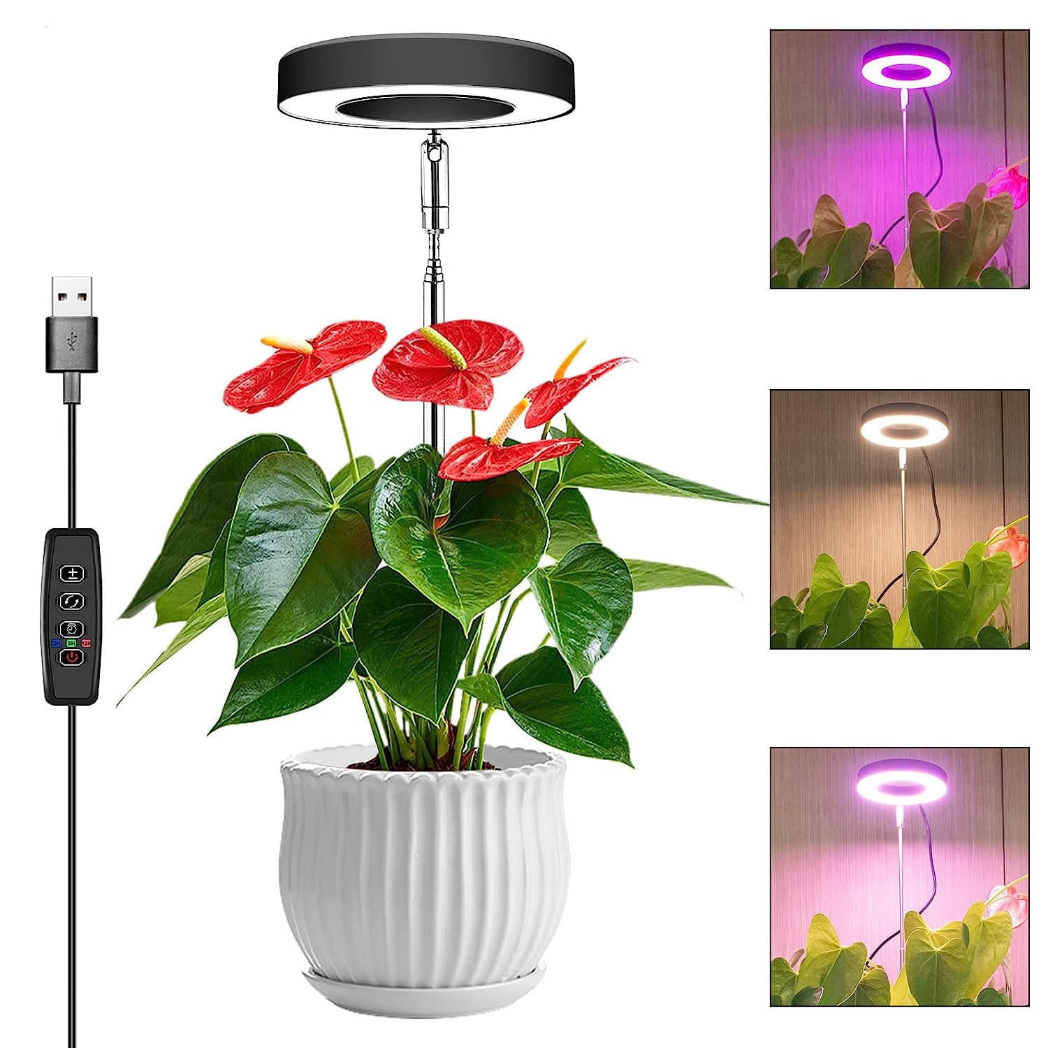 Gostoto Full Spectrum Height-Adjustable Grow Light for Indoor Plants ...