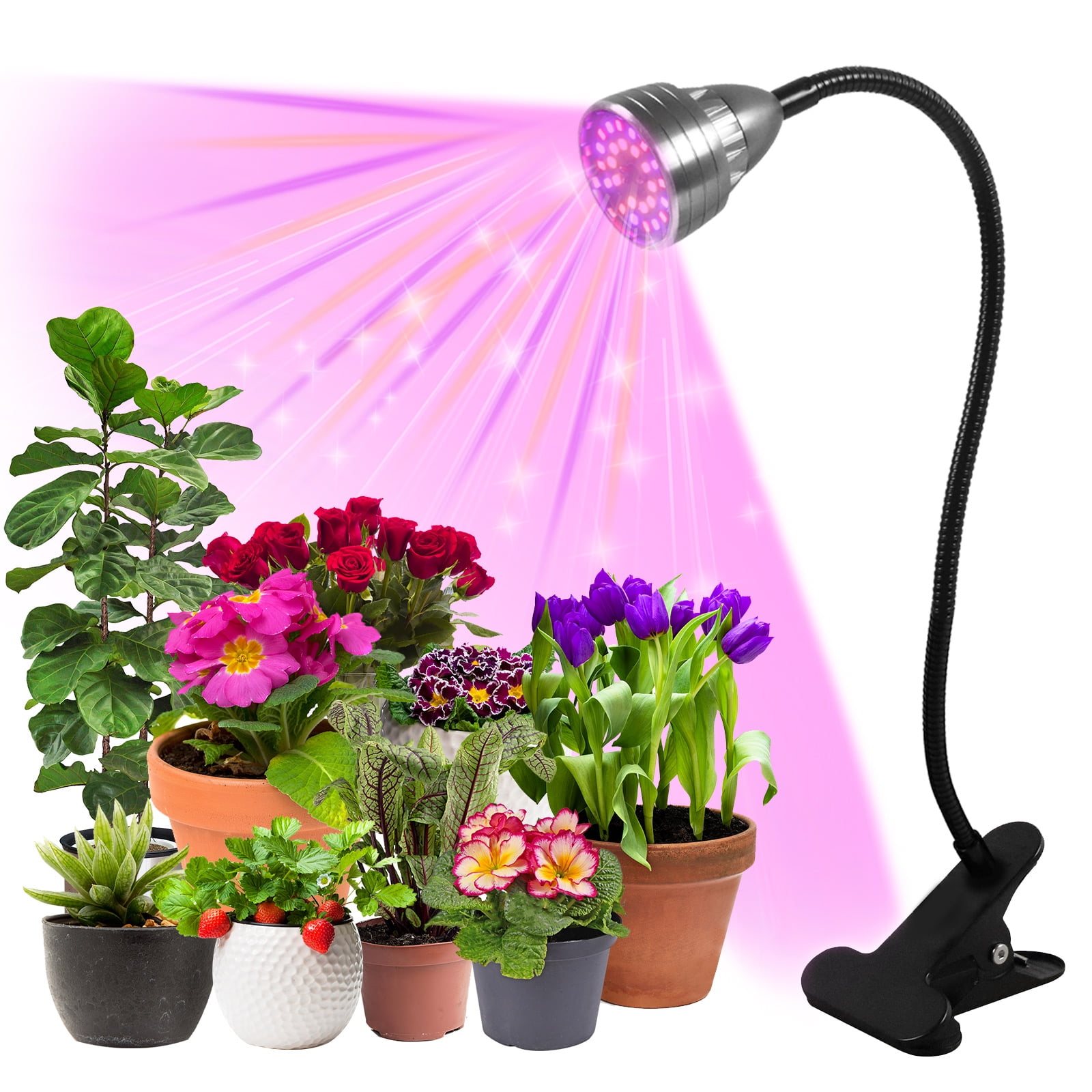 Gostoto LED Grow Light with Timer Function for Indoor Plant Clip-on ...