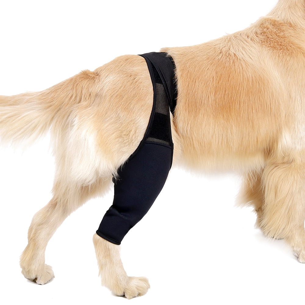 Gostoto Pet Dog Fixed Knee Brace Fracture And Disability Dog Leg ...