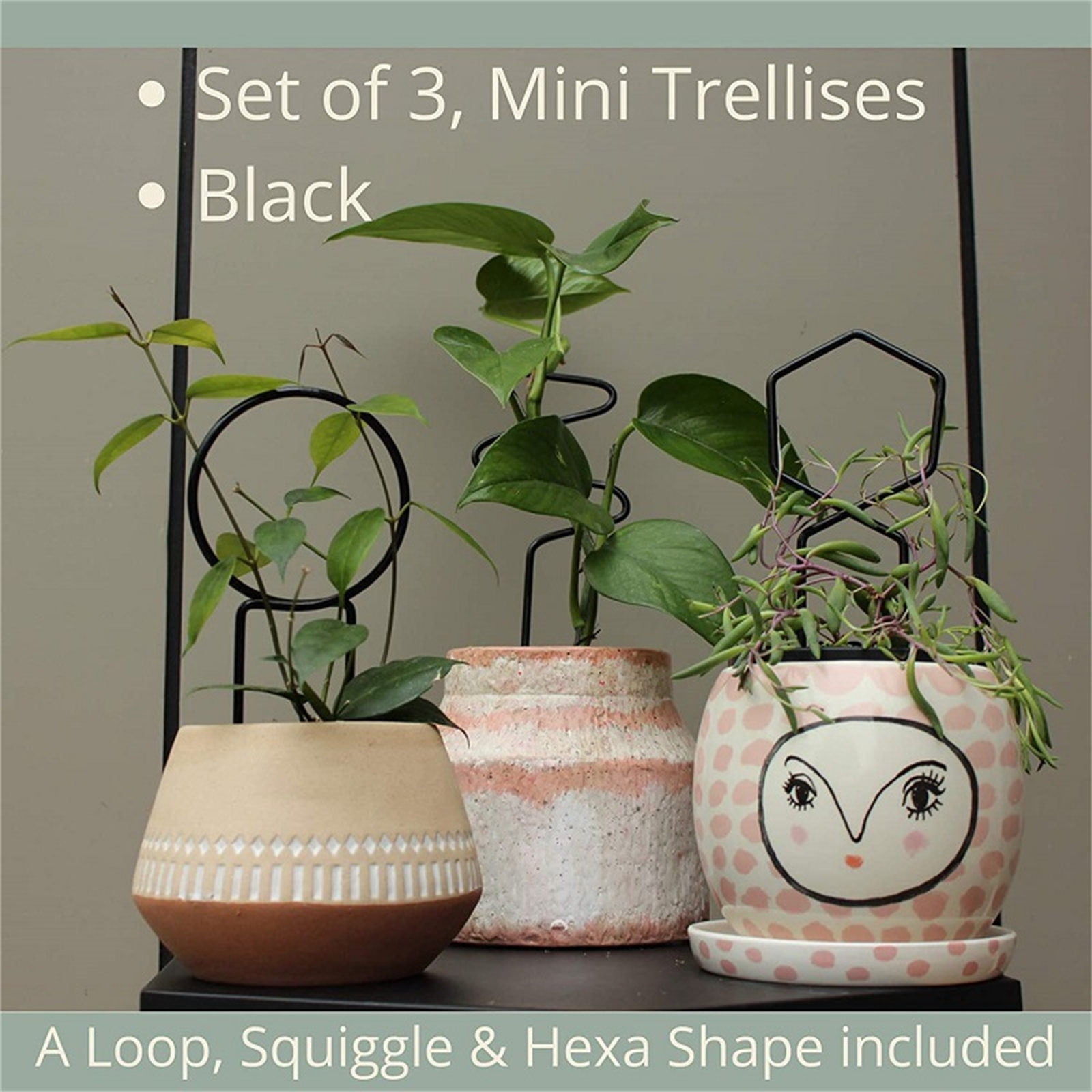 Gosuguu Deals of The Day Clearance! Garden Plant Support Climbing Wires ...