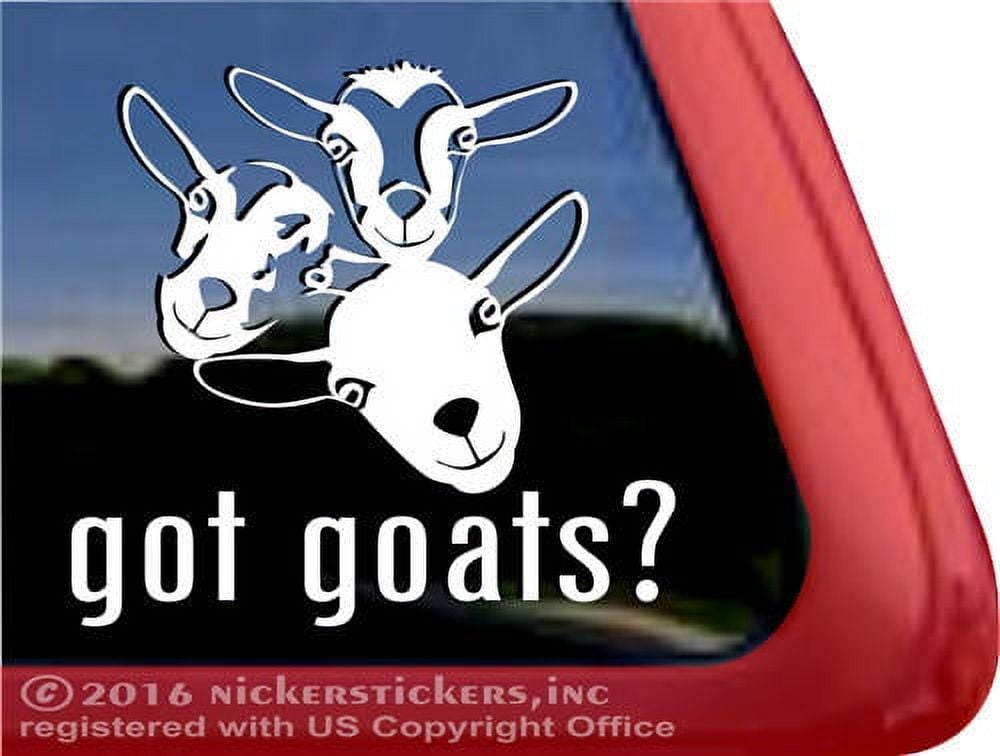 Got Goats? | High Quality Vinyl Dairy Goats Window Decal - Walmart.com