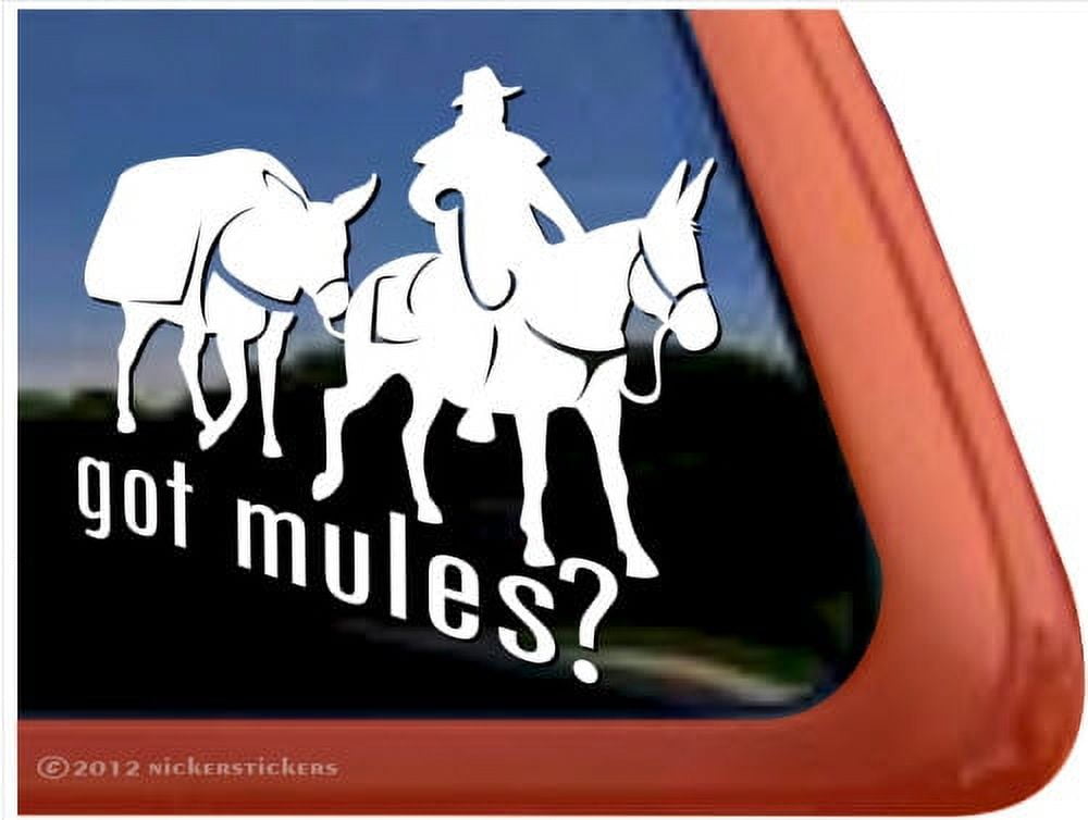 Got Mules? | High Quality Vinyl Trail Riding Pack Mule Decal - Walmart.com