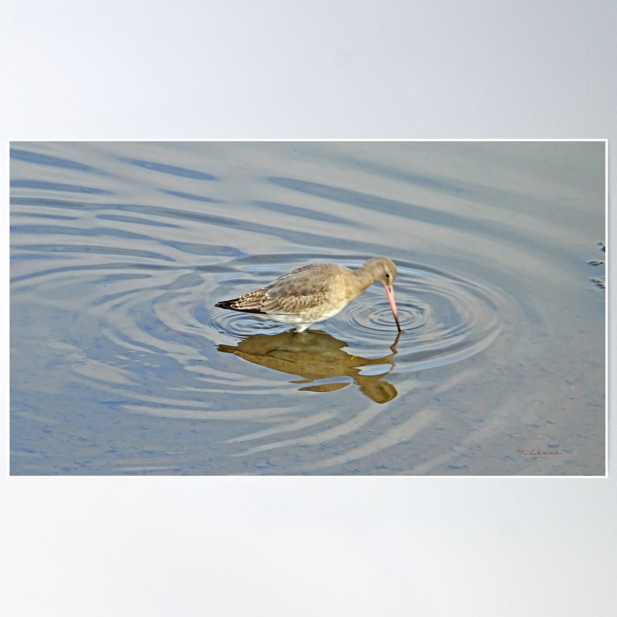 " Gotcha" Poster Wall Art, Modern Wall Decor For Living Room Bedroom ...