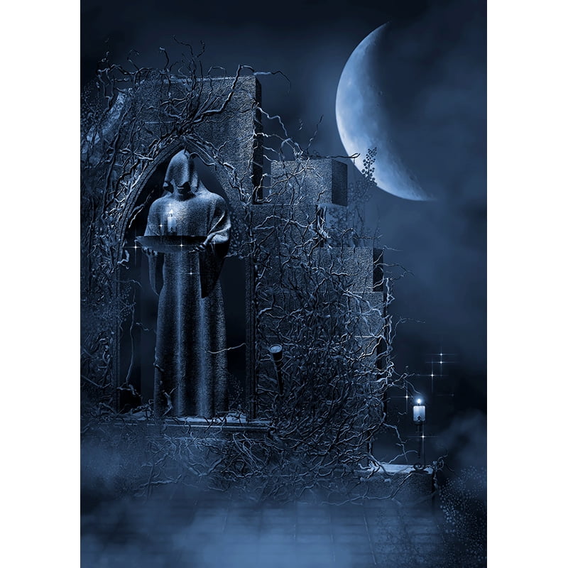 Goth Fairy Tale Old Bookshelf Arch Window Baby Photography Backdrops ...
