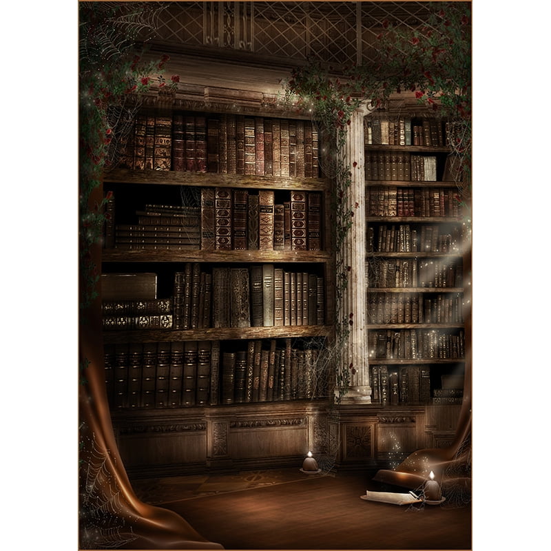 Goth Fairy Tale Old Bookshelf Arch Window Baby Photography Backdrops ...