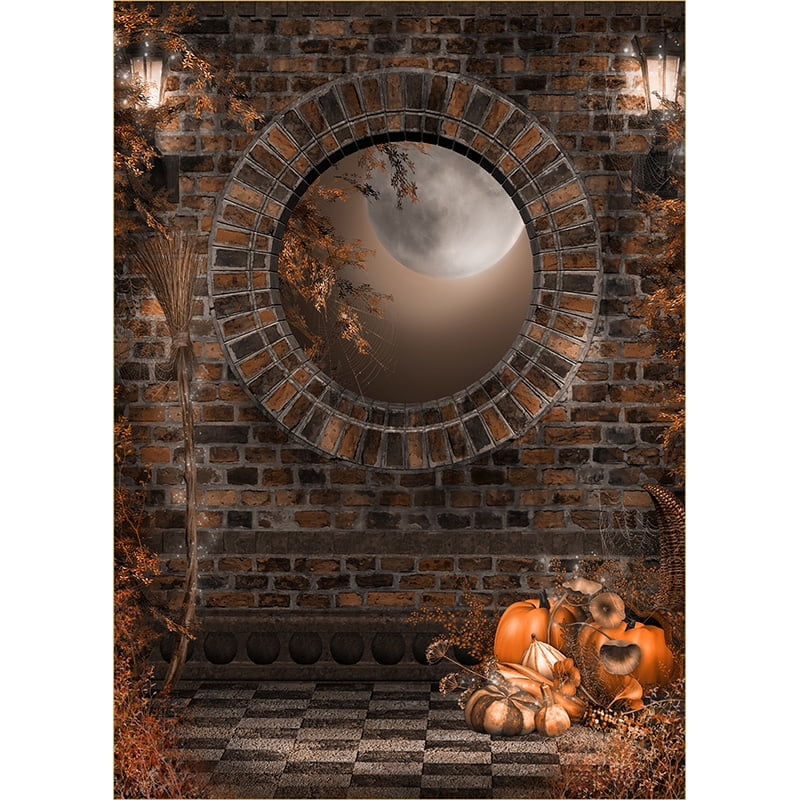 Goth Fairy Tale Old Bookshelf Arch Window Baby Photography Backdrops ...