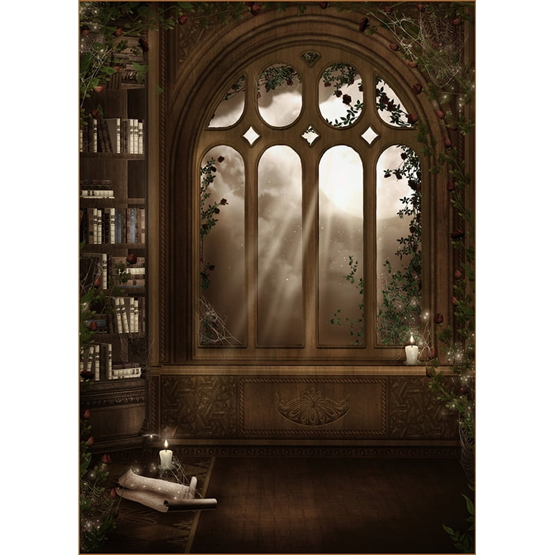 Goth Fairy Tale Old Bookshelf Arch Window Baby Photography Backdrops ...