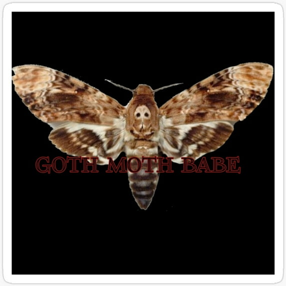 Goth Moth Babe Design Sticker Phone Decal Water Bottle Stickers Car ...