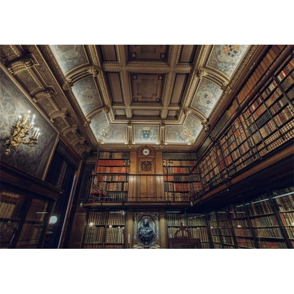 Gothic Castle Photography Backdrop Ancient St Wall Arches Iron Gates ...