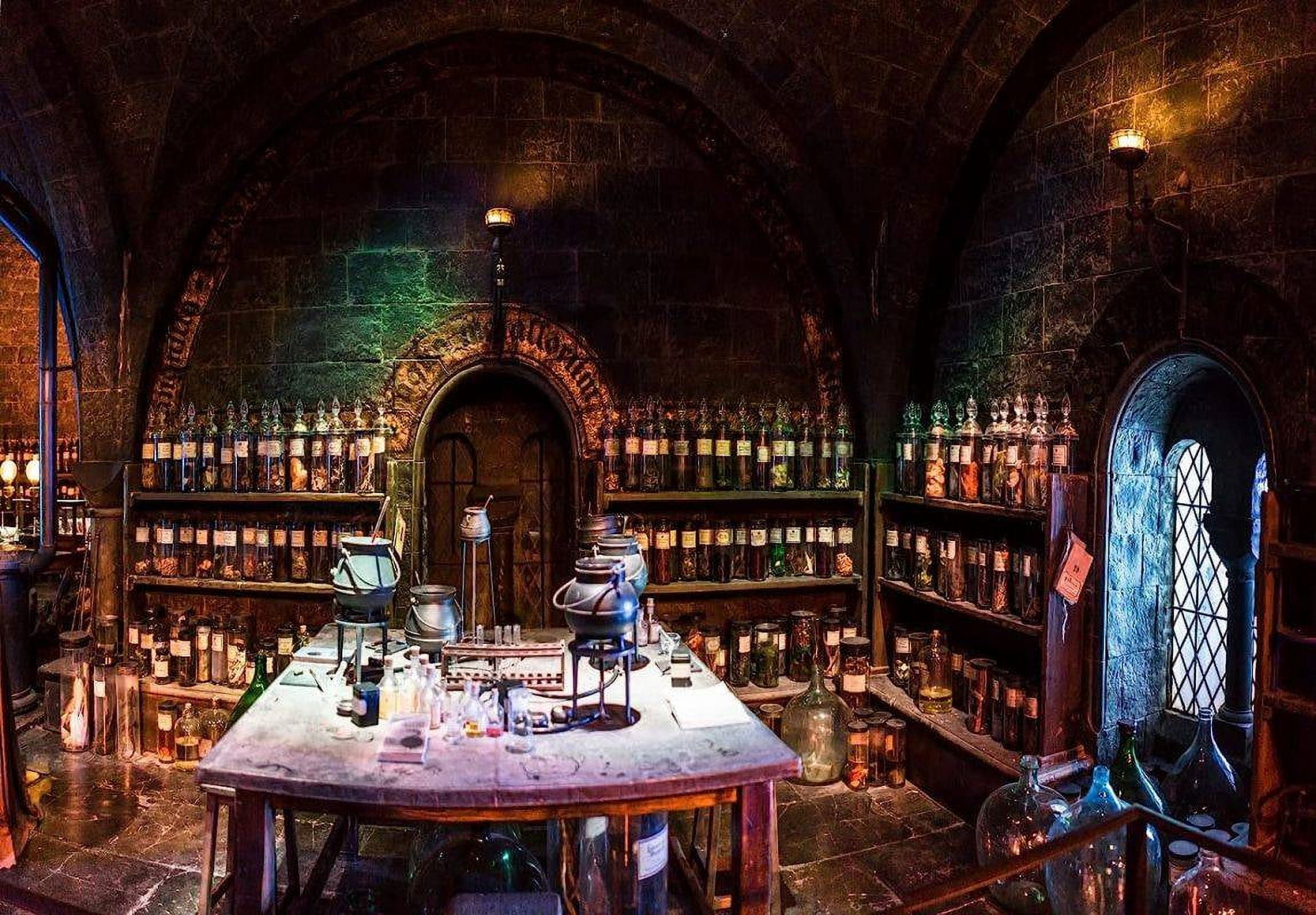 Gothic Castle Photography Backdrop Ancient St Wall Arches Iron Gates ...