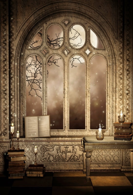 Gothic Castle Photography Backdrop Ancient Stone Wall Columns Arches ...