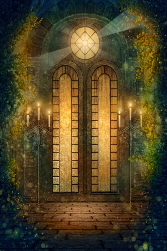 Gothic Castle Photography Backdrop Ancient Stone Wall Columns Arches ...