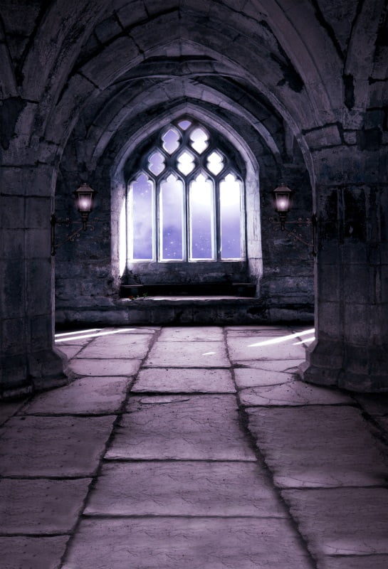 Gothic Castle Photography Backdrop Ancient Stone Wall Columns Arches ...