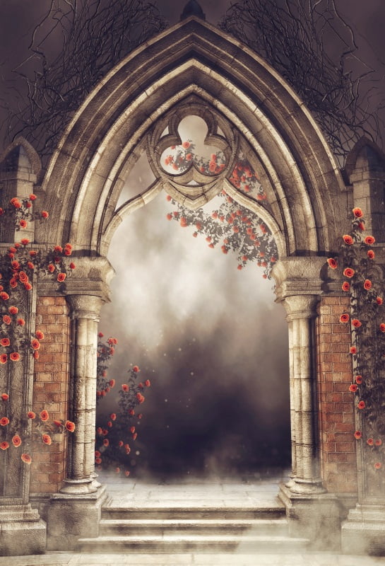 Gothic Castle Photography Backdrop Ancient Stone Wall Columns Arches ...
