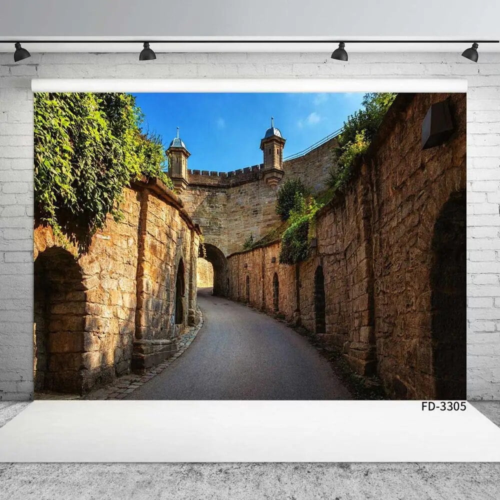 Gothic Castle Vintage Alley Photography Background r For Baby Shower ...