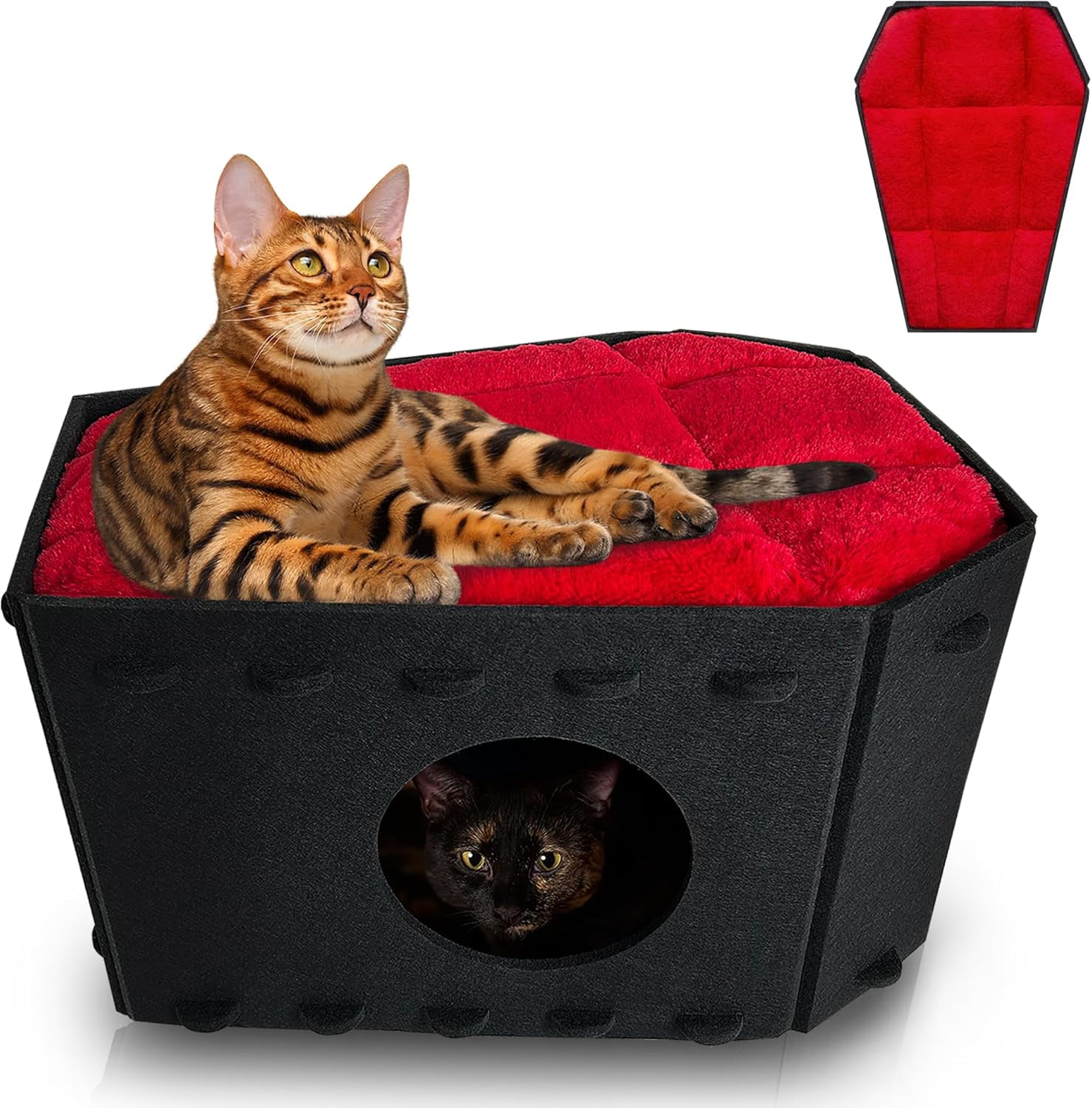 Gothic Cat Bed for Indoor Cats or Pets, Foldable as Halloween Cat House ...