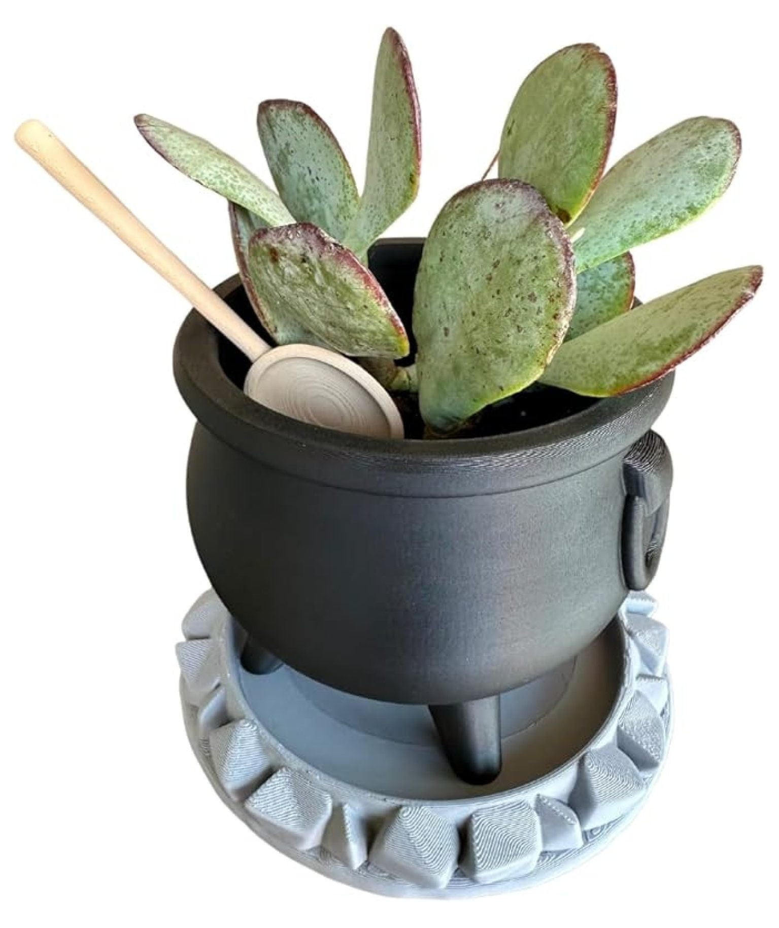 Gothic Cauldron Planter Pot 4.5 inch with Tray – Indoor Outdoor Plant ...