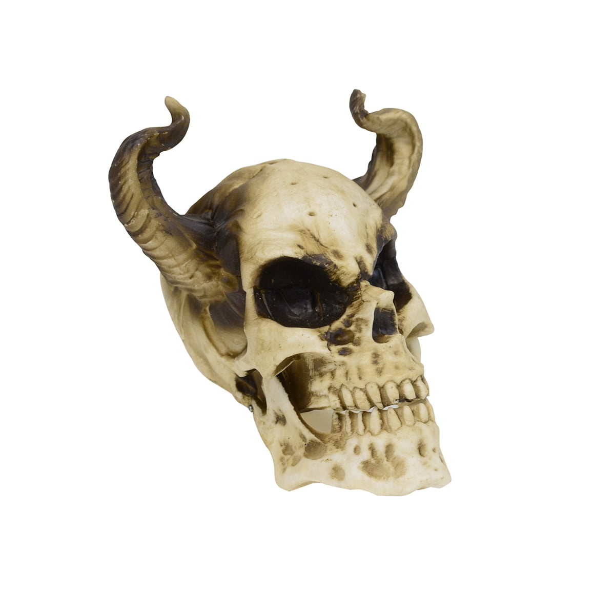 Gothic Horned Devil Skeleton Head Human Skull Horns Moving Jaw Indoor ...