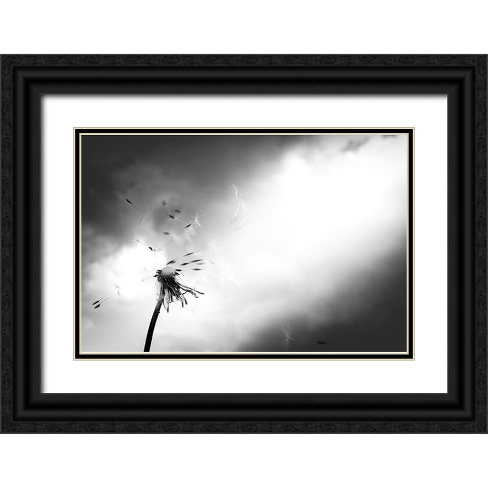 Goto, Satoru 24x17 Black Ornate Wood Framed with Double Matting Museum ...