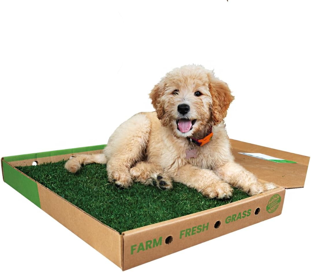 Gotta Go Grass - Real Dog Grass for Pet Training, Natural Grass Patch ...