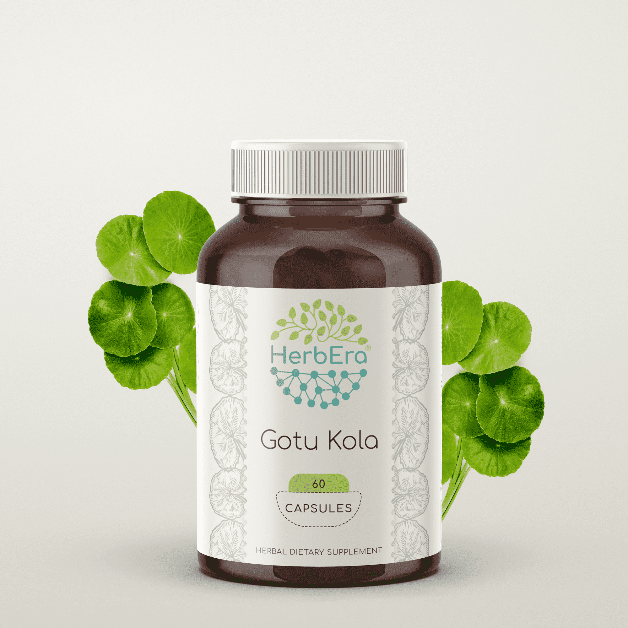 HerbEra Gotu Kola Capsules, Herbal Dietary Supplement for Cognitive ...