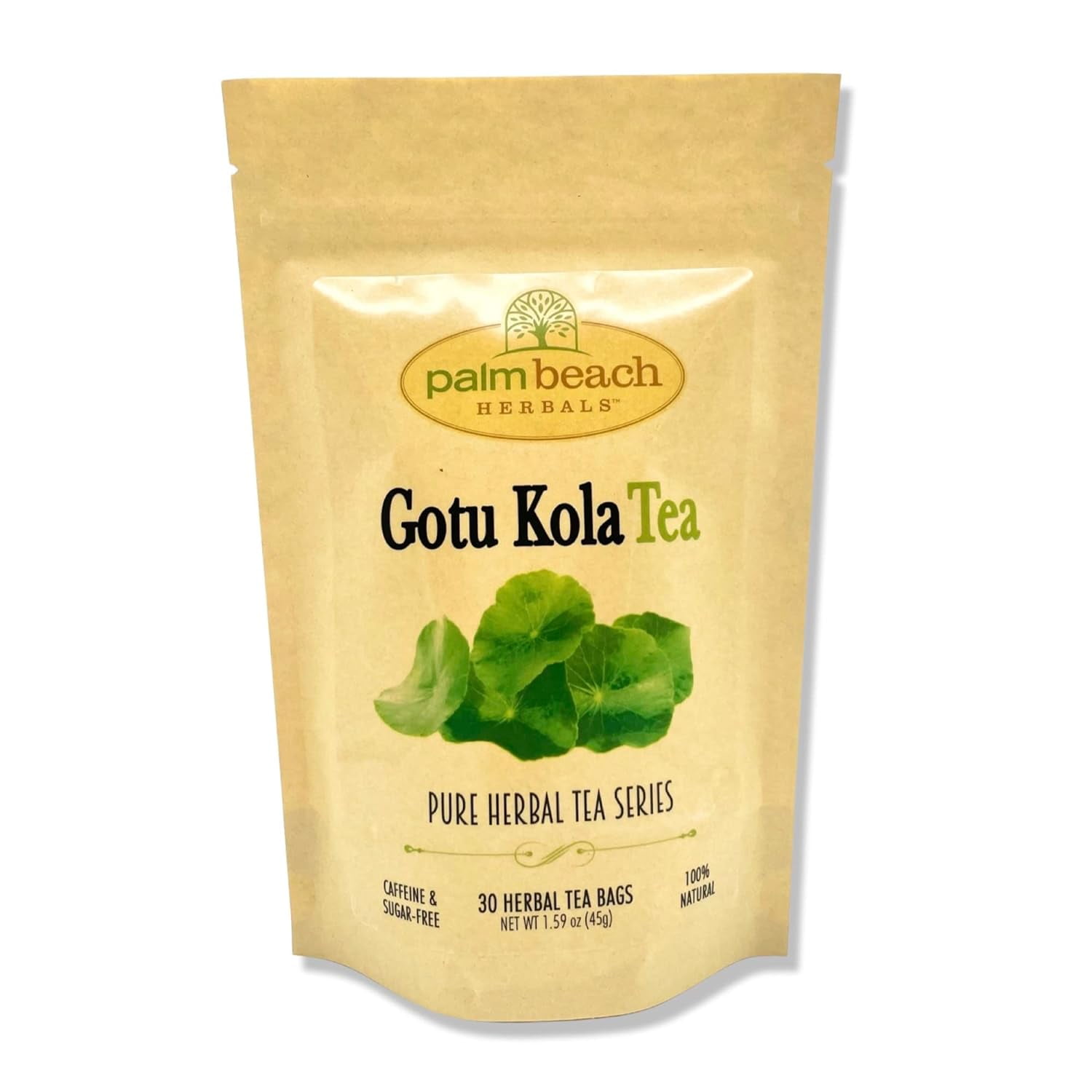 Gotu Kola Tea - Pure Herbal Tea Series by Palm Beach Herbals (30 Tea ...