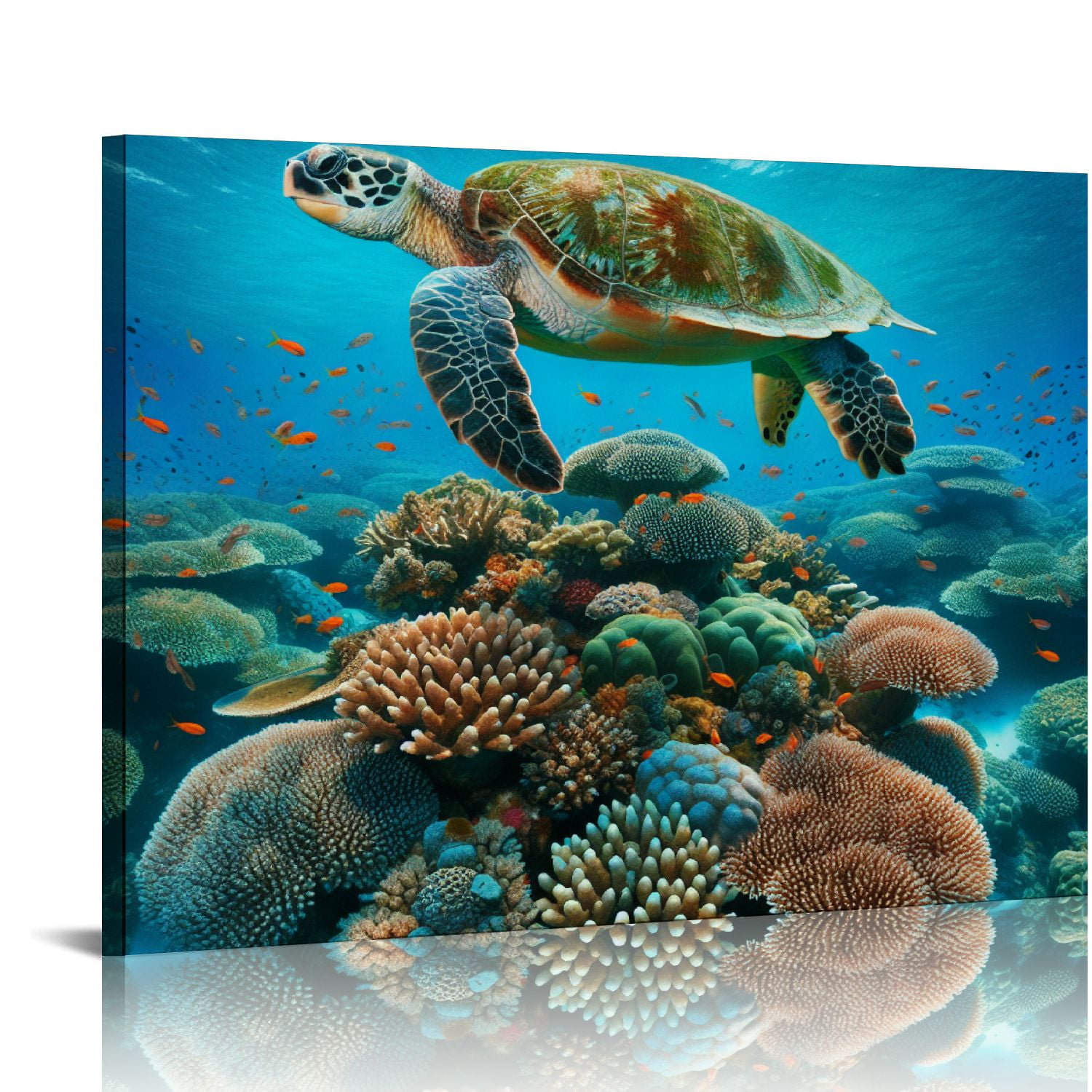 Gotuvs Ocean Aquatic Decor Wall Art Sea Turtle Starfish Seahorse ...