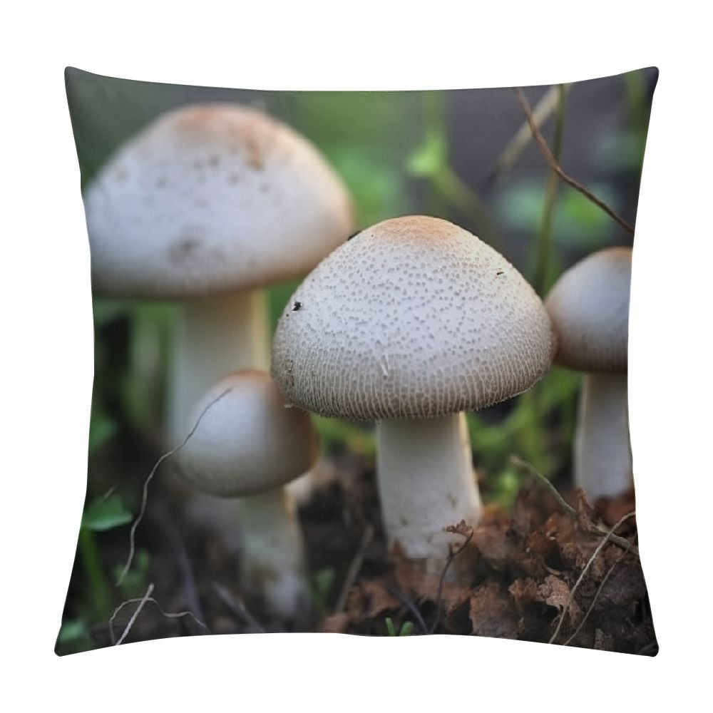 Gotuvs Throw Pillow Cover Mushroom Agaricus White Fungus Fungi Nature