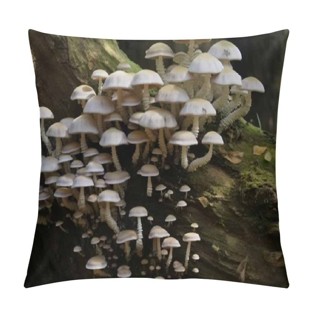Gotuvs Throw Pillow Cover Mushroom Fungus Nature White Fungi Growth