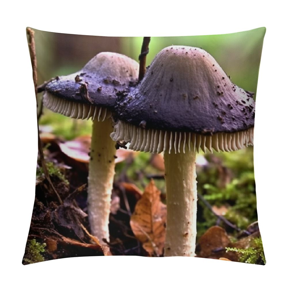 Gotuvs Throw Pillow Cover Toadstools Fungi Mushroom Forest Fungus