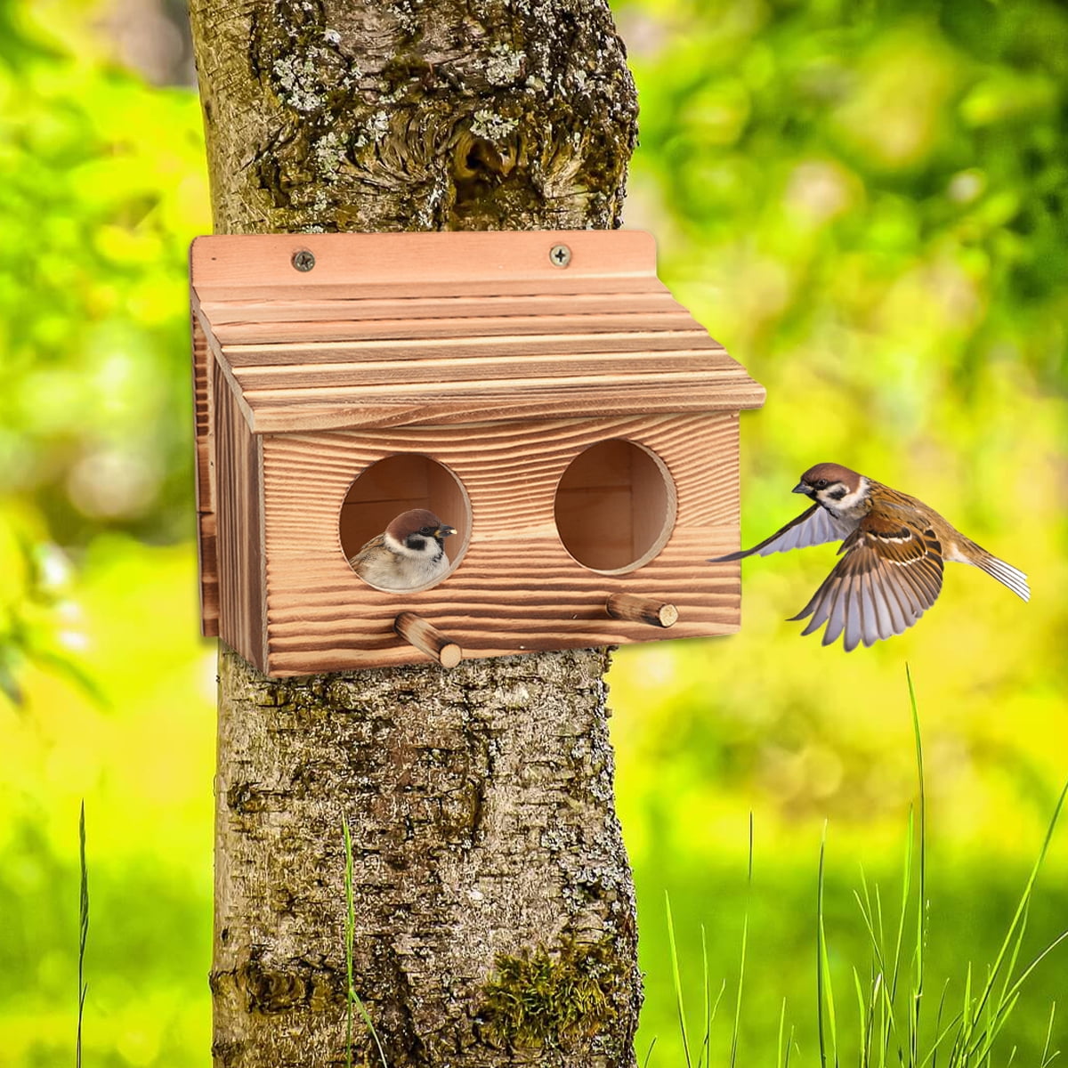 Gotydi Bird House with 2 Holes Wooden Garden Hanging Birdhouse Sturdy ...