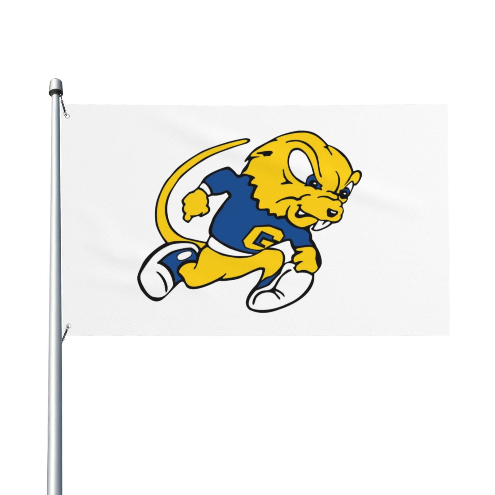 Goucher College Movement Flag 3x5 Outdoor ,Sewn Stripes, Stronger Brass ...
