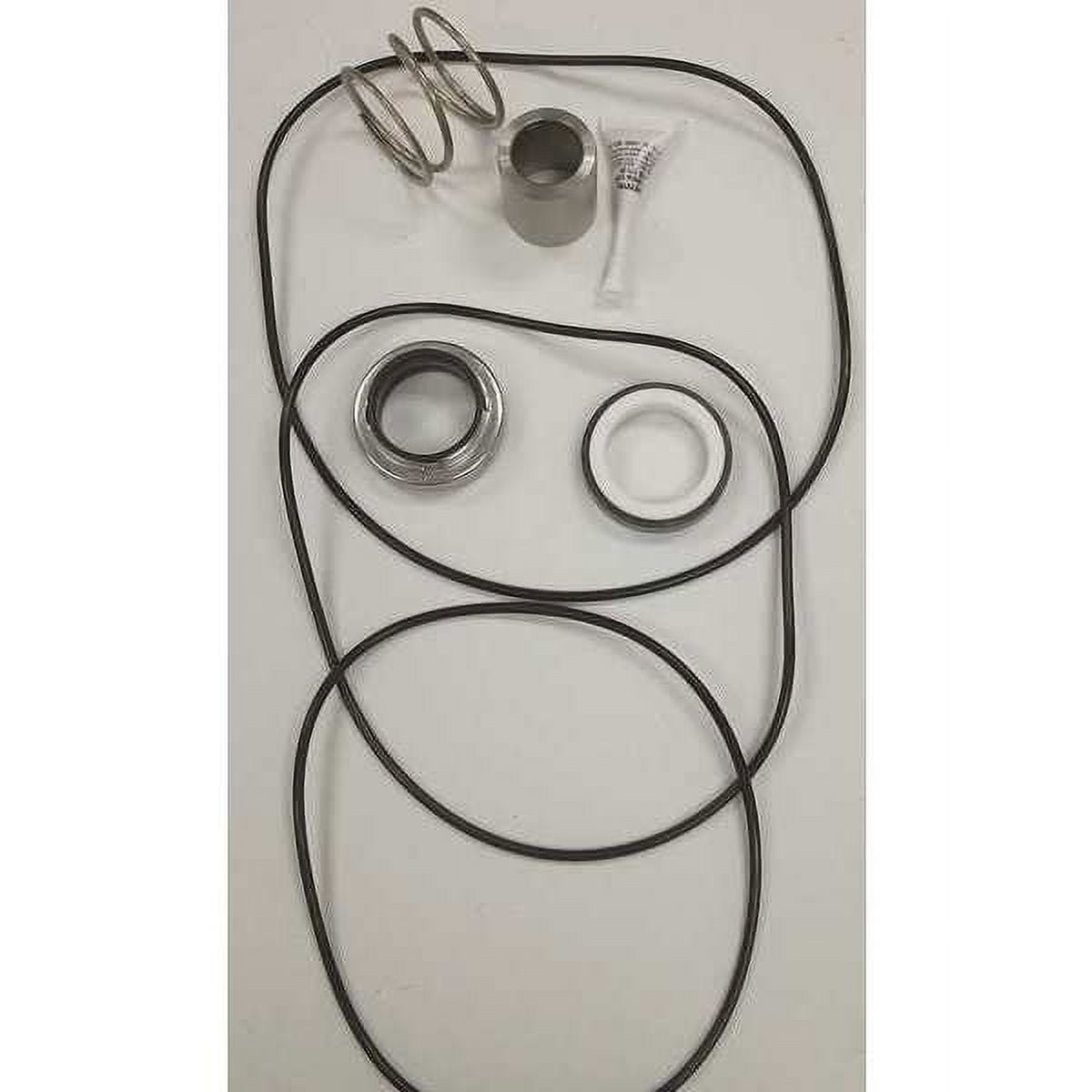 Goulds Water Technology Seal Repair Kit RPK3656S - Walmart.com