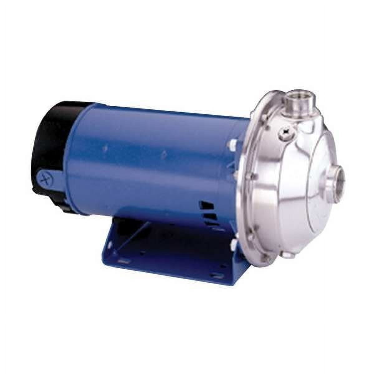 Goulds Water Technology Straight Centrifugal Pump 150MS1H4D4 - Walmart.com